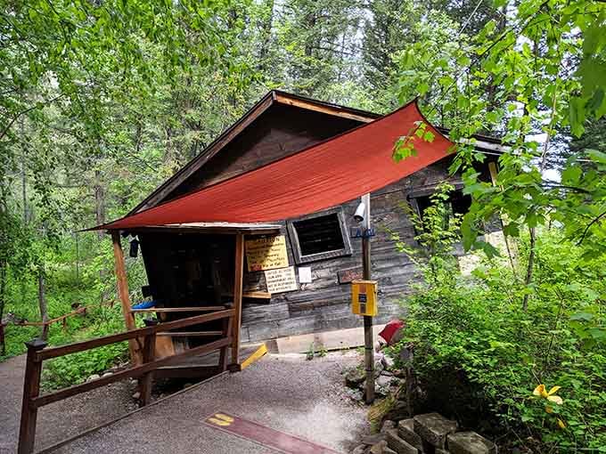 This tilted cabin defies gravity and common sense—just wait until you try walking straight inside!