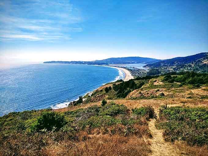 The coastline curves for miles below golden hillsides, creating a view that belongs on every California postcard ever made.