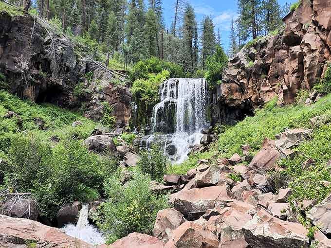 When the snow melts just right, this towering cascade becomes nature's most impressive seasonal performance.