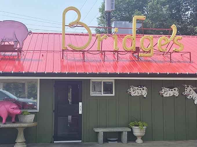 That cheerful pink pig perched on the roof tells you everything about the joy waiting inside.
