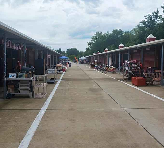 This wide pathway between vendor stalls stretches like a treasure-lined runway, inviting you to discover what's around every corner.