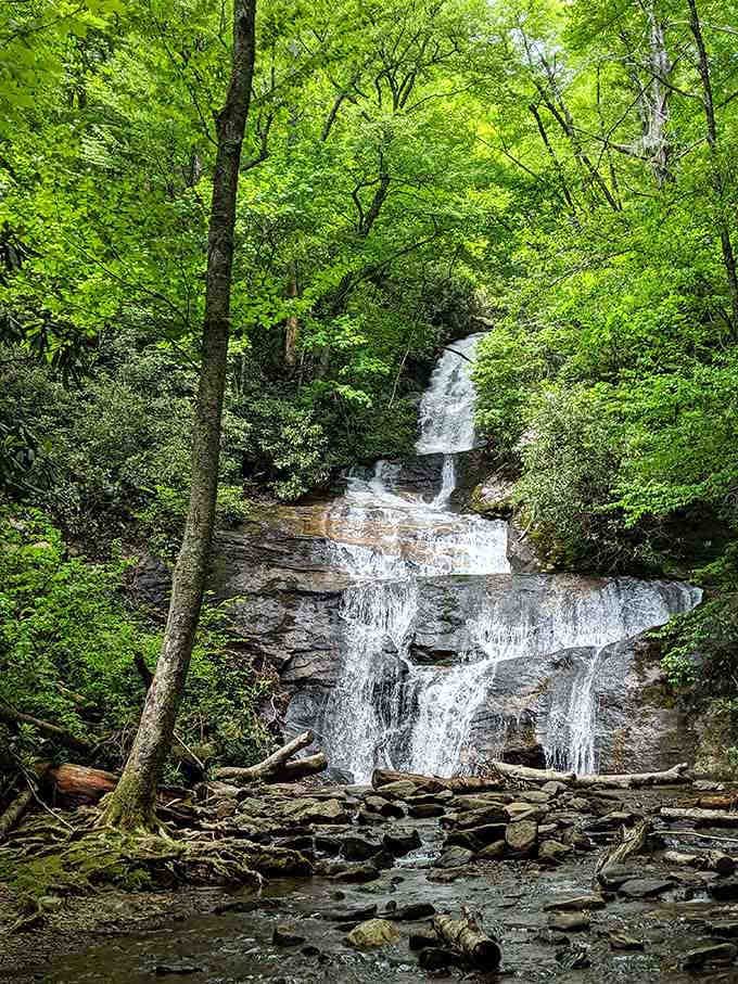 Nature's staircase cascades through emerald forest, each tier more stunning than the last in this hidden gem.