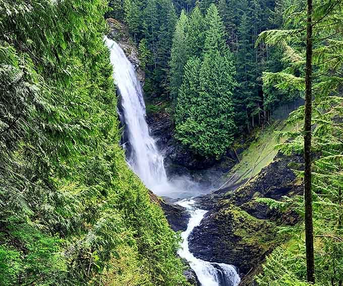 Framed by towering evergreens, this powerful drop creates its own weather system with all that refreshing spray and mist.
