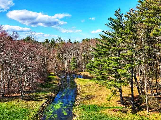 This winding stream through rolling meadows proves that sometimes the journey really is better than the destination.