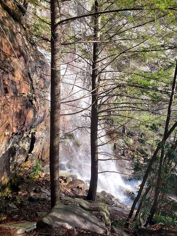 Through the pines, water tumbles with the kind of power that makes you respect Mother Nature's handiwork.