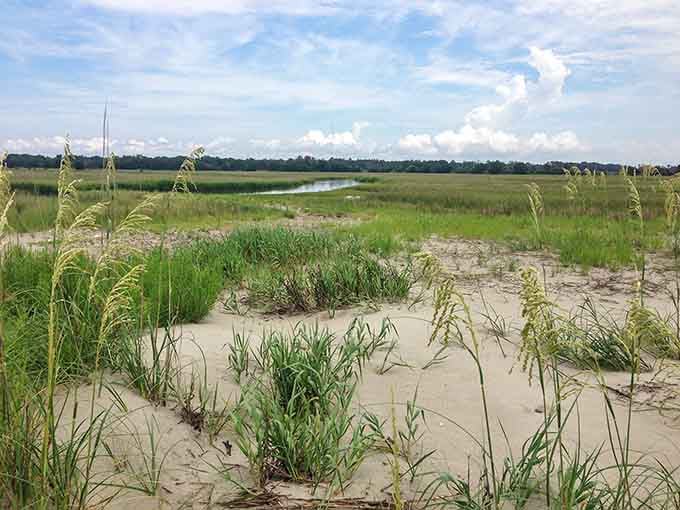Wild grasses dance in the breeze while distant waters shimmer&mdash;this is what paradise looks like without crowds.