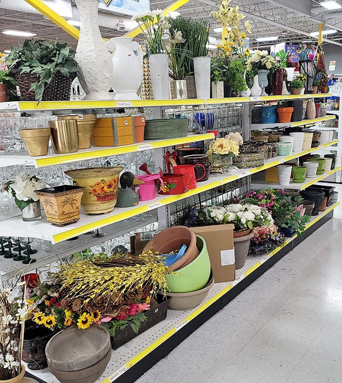 Inside City Thrift, colorful planters and vases create a garden of possibilities for home decorators on a budget.