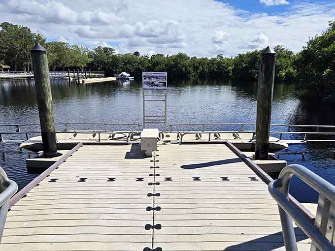 Mangrove tunnels frame this peaceful dock where the water meets sky in shades of blue you forgot existed.
