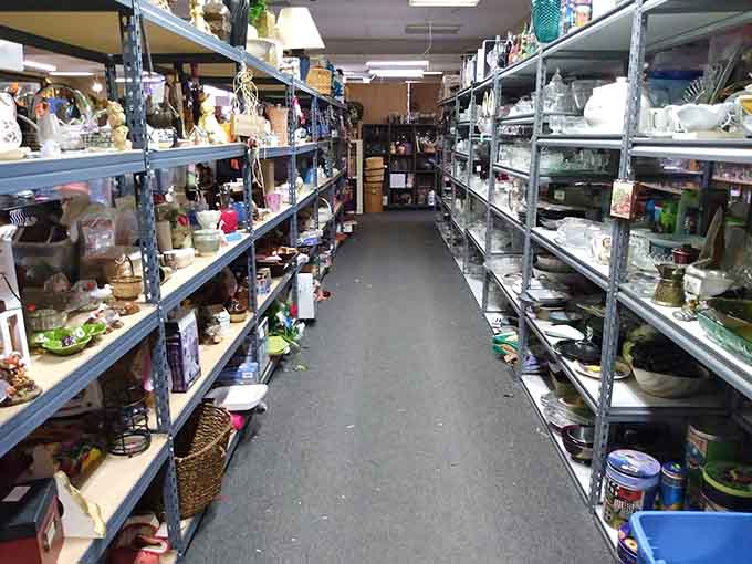 Shelves stacked high with household treasures stretch into the distance like a well-organized time capsule waiting.