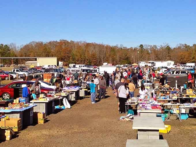 The autumn crowd gathers under blue skies, hunting through tables loaded with everything from kitchen gadgets to vintage curiosities.