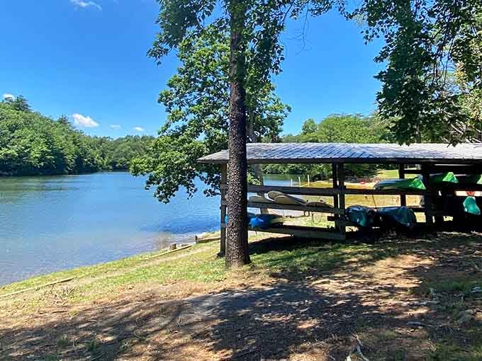 That covered picnic shelter overlooks turquoise water where kayakers glide past like colorful water beetles exploring.
