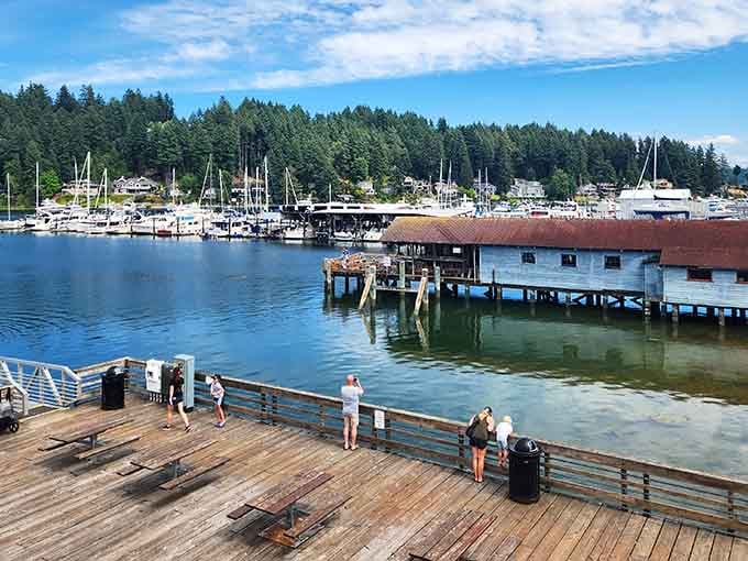 The working waterfront comes alive on wooden boardwalks where fishing boats and pleasure craft share the peaceful harbor.