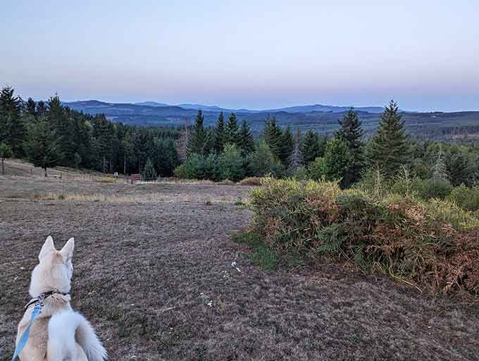 Your four-legged friend surveys mountain vistas that stretch for miles across forested ridges and valleys below.