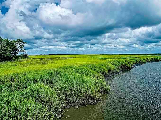 Those vibrant green marshes stretch endlessly, proving that the most beautiful places are often the least developed ones.