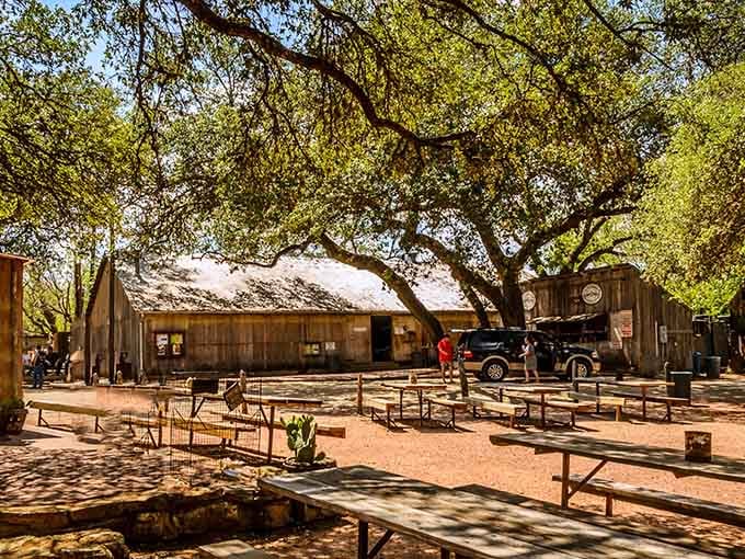 Picnic tables under sprawling trees create the perfect spot for music, laughter, and memories that last forever.