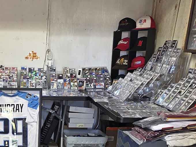 Trading cards organized in protective cases bring back memories of childhood, now with adult appreciation and better prices.