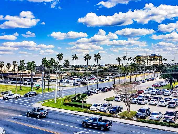 Blue skies and palm trees frame McAllen's bustling streets, where affordable living meets the vibrant pulse of Texas's southern charm.
