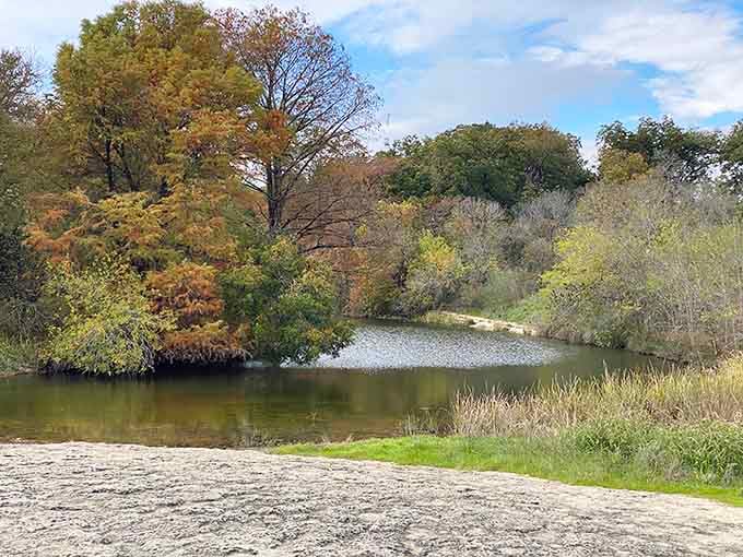 Autumn paints the trees in warm hues while the quiet pond reflects the changing seasons like nature's own calendar.