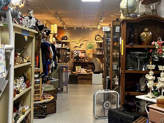 Inside OddBalls, every shelf tells a story. Vintage treasures and curious collectibles create a wonderland for the secondhand explorer.