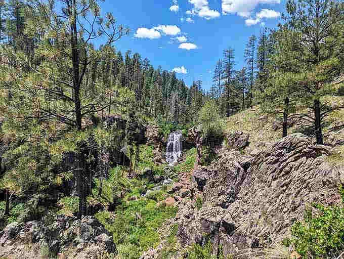 The forest setting and dramatic drop make this hidden gem feel like stumbling into Yosemite.