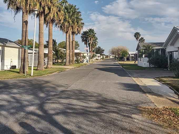 Towering palms create natural shade along quiet streets where you can actually hear yourself think for once.