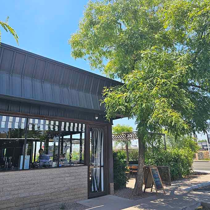 Lush greenery surrounds Pizza To The Rescue's modern industrial building, creating an unexpected oasis for pizza lovers in Phoenix.