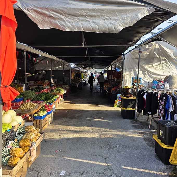 Covered walkways create shaded shopping lanes where fresh pineapples and produce tempt you at every turn.
