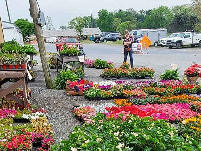 A rainbow explosion of flowers transforms this market corner into a gardener's paradise that smells absolutely heavenly.