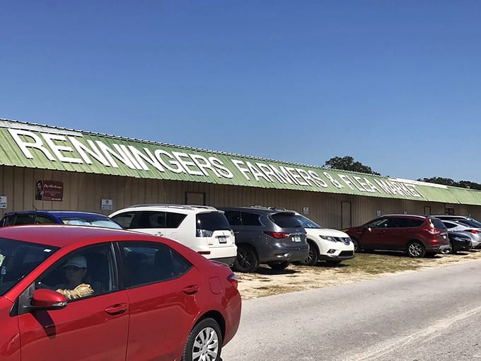That green roof stretches on forever, packed with vendors who actually remember your name and preferences.