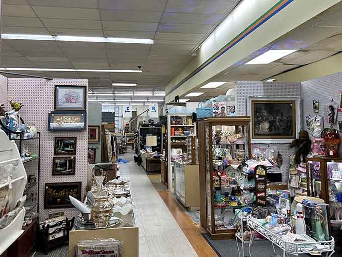 Vintage frames and curiosities line the walls, turning every corner into a potential discovery moment.