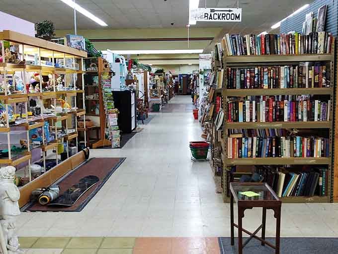 Books, collectibles, and memories line these aisles. The Mega Mall's indoor setup means your treasure hunting never takes a snow day.