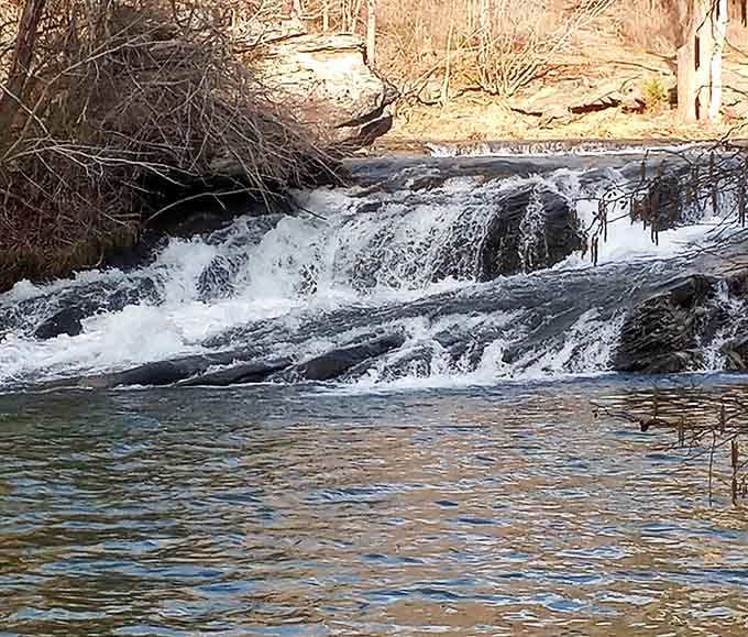 Winter light catches the flowing water just right, turning this peaceful cascade into something almost magical.