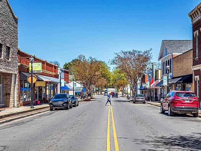 Tree-lined streets and historic shopfronts invite you to park once and wander for hours discovering hidden treasures everywhere.