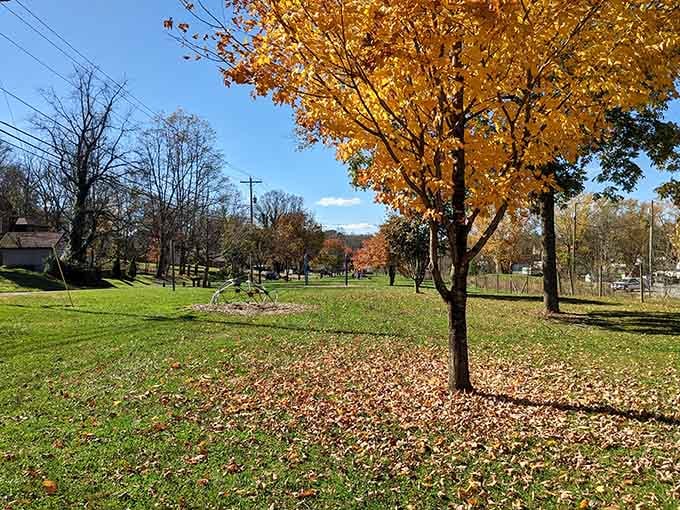Autumn in Abingdon turns every tree into a show-off, and honestly, we're here for it.