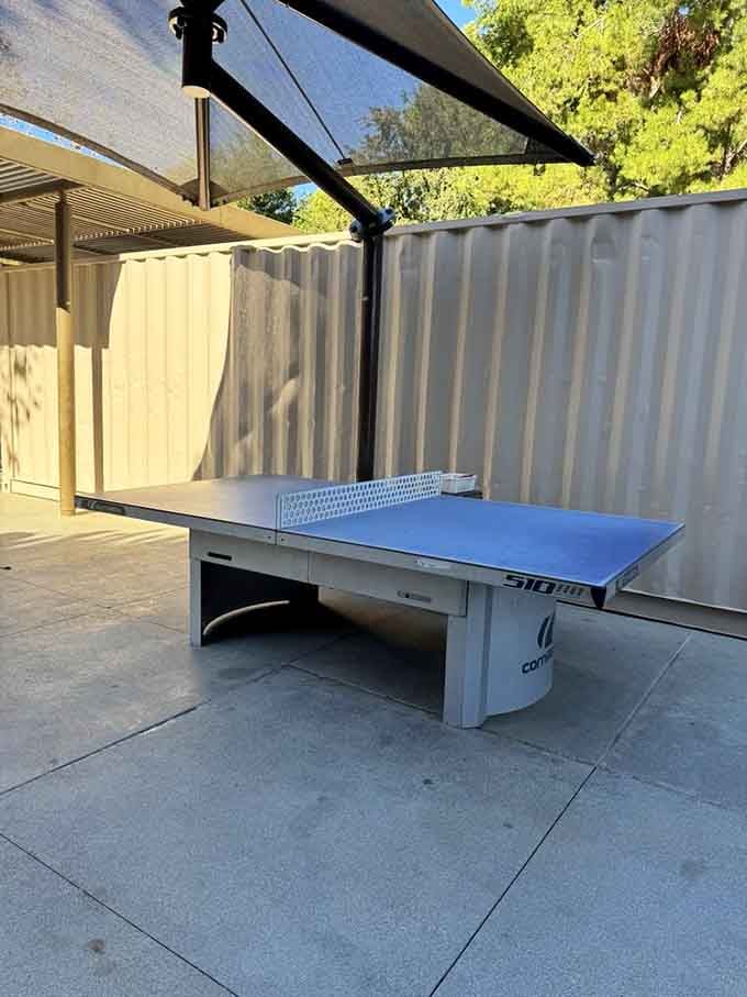 Ping pong under the California sky beats screen time every single time, and the kids actually agree on this one.