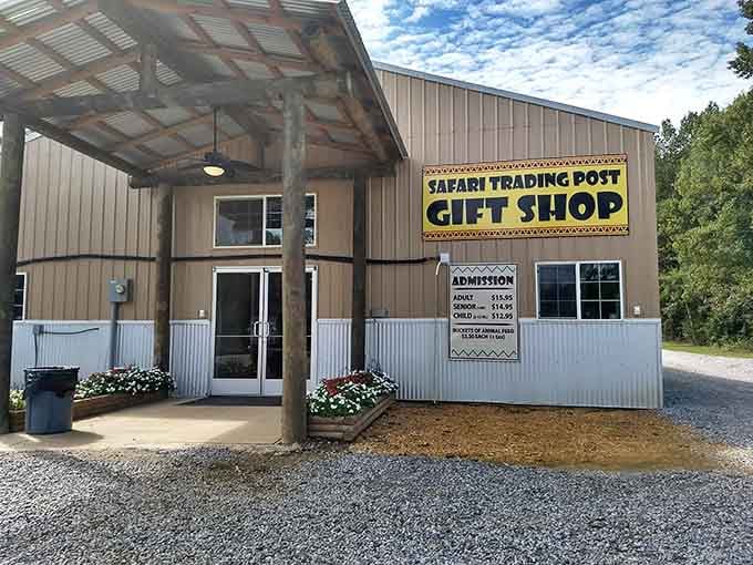 The Safari Trading Post Gift Shop, where your wallet goes to make memories you can actually take home.
