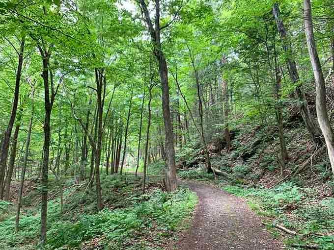 This forest path looks like it leads to Narnia, but it actually leads somewhere better: a 60-foot waterfall.