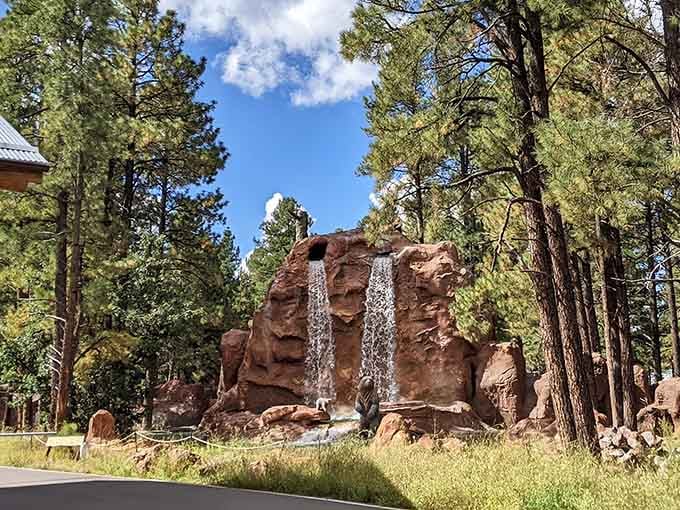 This man-made waterfall adds dramatic flair to the landscape, because even wildlife parks understand the importance of good ambiance.