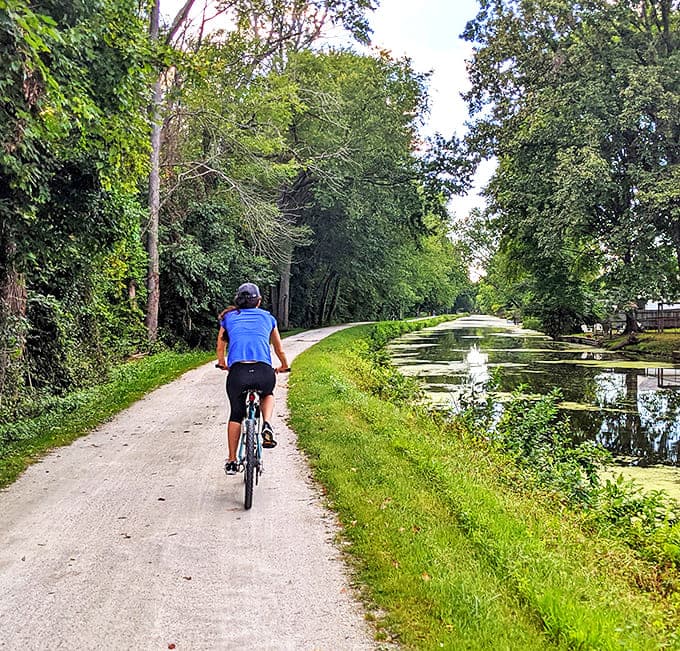 The perfect cycling path &ndash; one side lush forest, one side glistening canal, zero traffic lights to spoil the rhythm.
