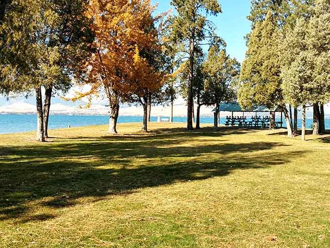 Fall colors frame Flathead Lake's shoreline like nature's own Instagram filter. No photo editing required when Mother Nature handles the d&eacute;cor.