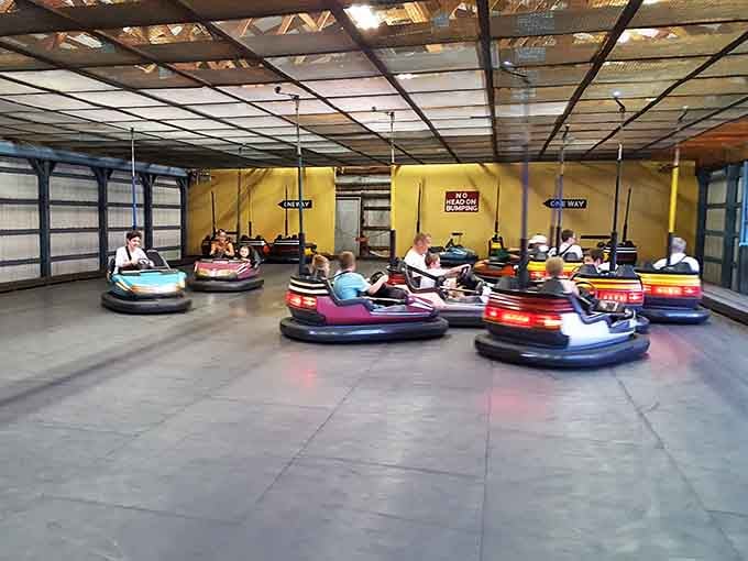 Bumper cars – where family feuds are settled, driving skills are questionable, and revenge is served with a satisfying electric jolt.