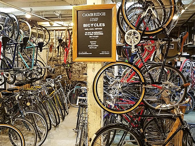 Vintage bicycles ready to roll again, proving two wheels never go out of style, just out of production.