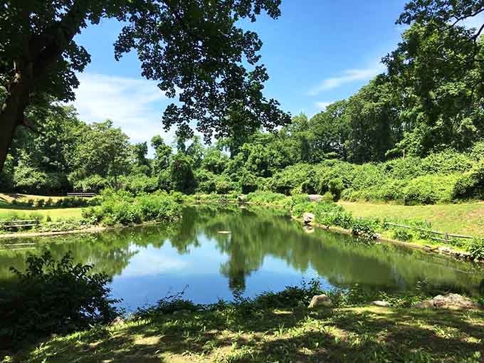 This pond reflects more than just trees; it reflects good life choices, like visiting castles on weekends.