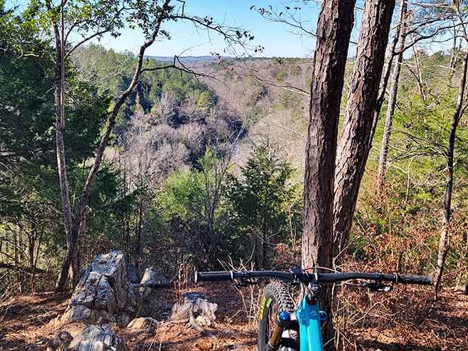 That view when you realize your legs still work and the climb was absolutely worth it.