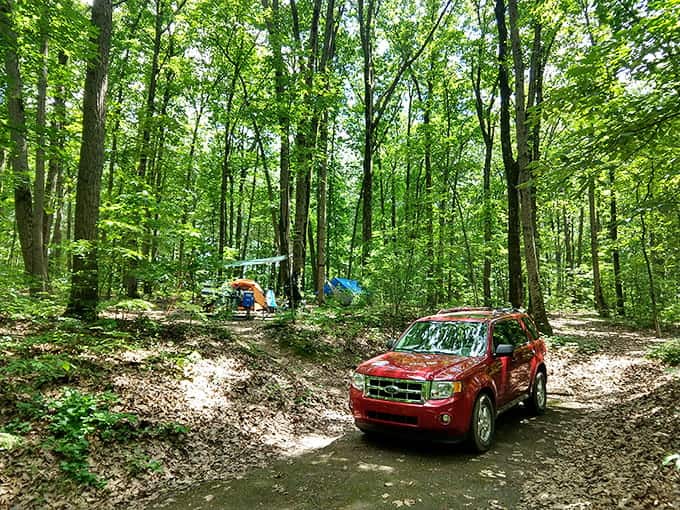 Camping among the trees where your biggest worry is which s'more recipe to try first.