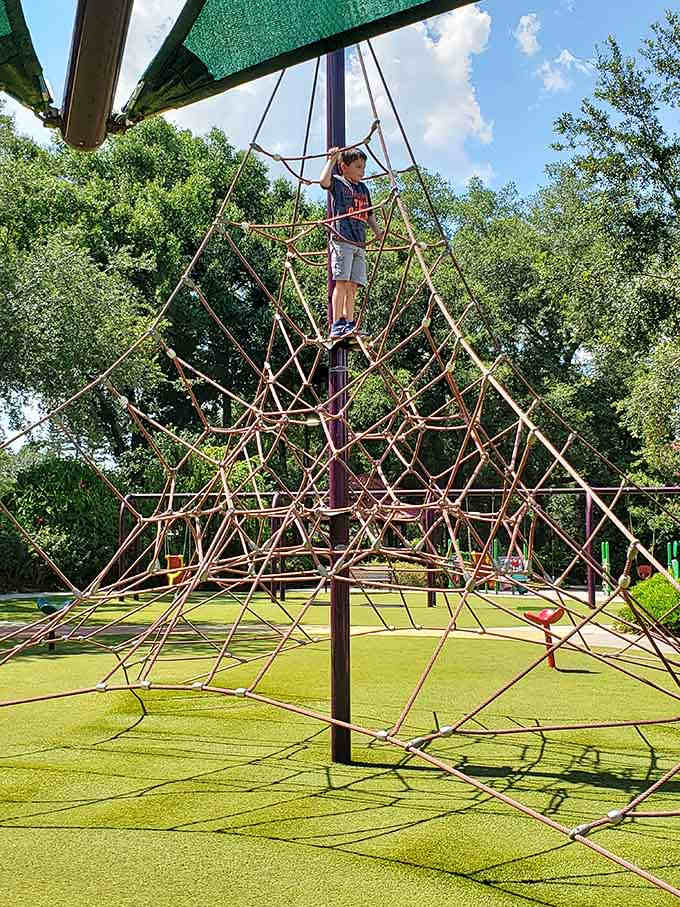 Spider Web Peak challenges young climbers to reach new heights while parents nervously clutch their coffee below.