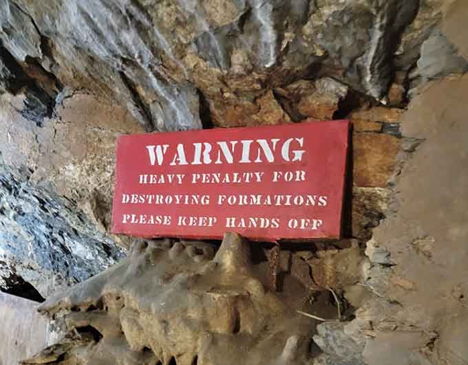 They're serious about preservation here, because some things are too precious to let careless hands destroy in seconds.