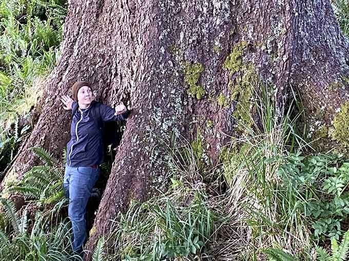These massive coastal trees make you feel wonderfully small, reminding us we're just visitors in their ancient neighborhood.