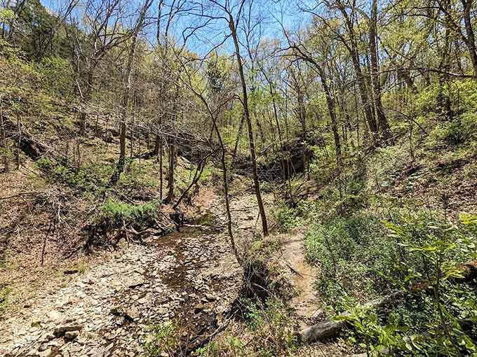 Rocky terrain and leafy paths combine to create Missouri's version of an obstacle course, minus the mud pits.