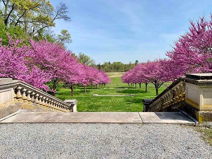 Spring blooms framing the landscape in pink perfection, making even your phone's camera feel like a professional photographer.